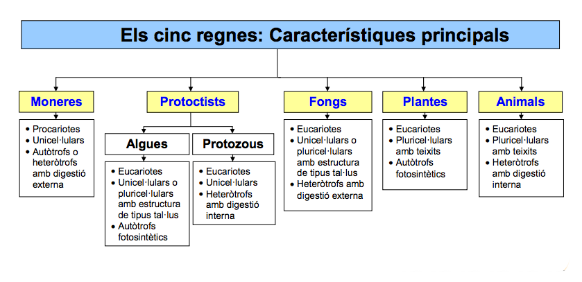AULA NATURALS 1r ESO: de gener 2015