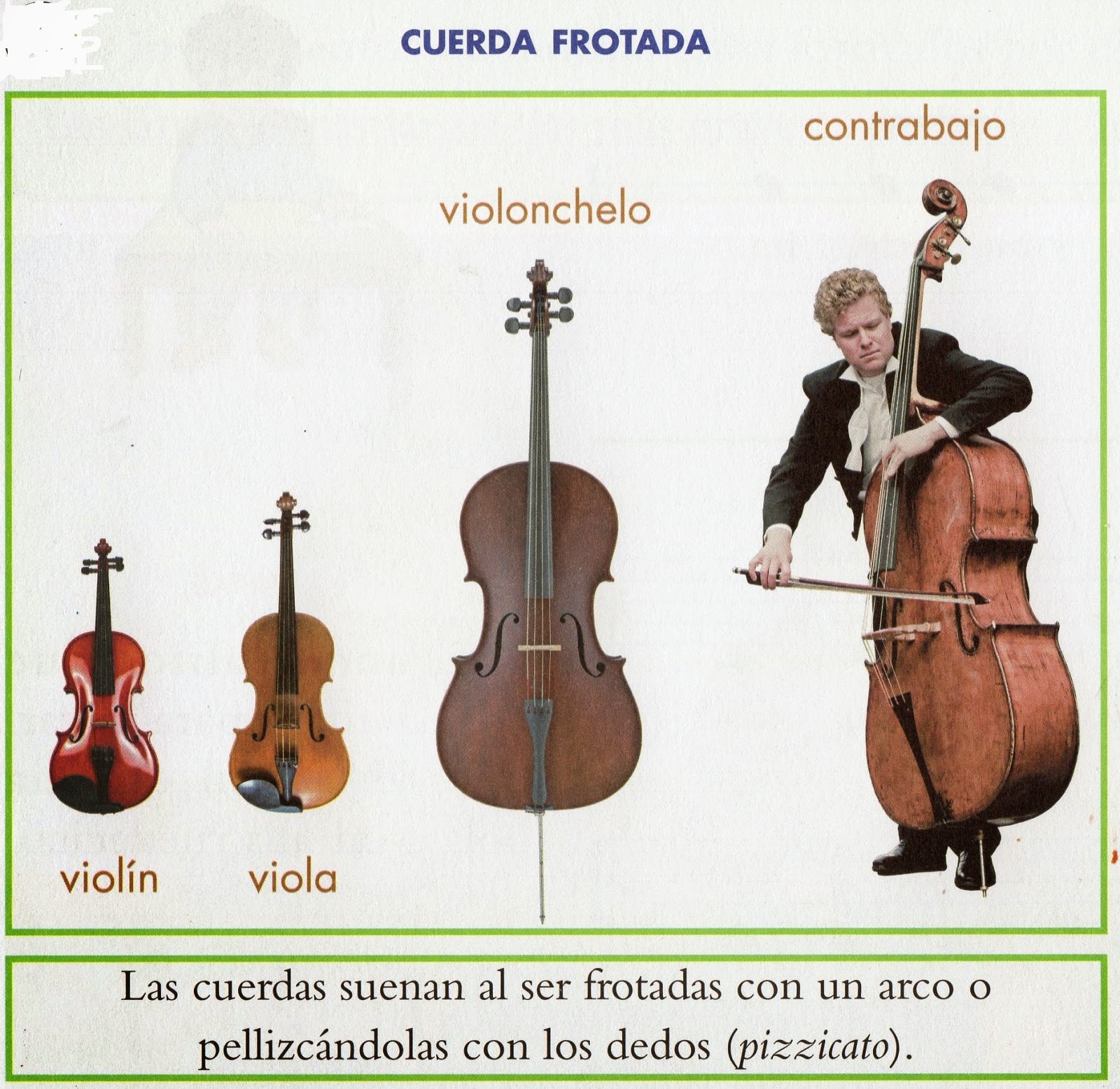 Música 3º: INSTRUMENTOS DE CUERDA FROTADA