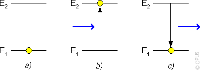 Bioluminescence et Chimiluminescence: II) Chimiluminescence chez la ...