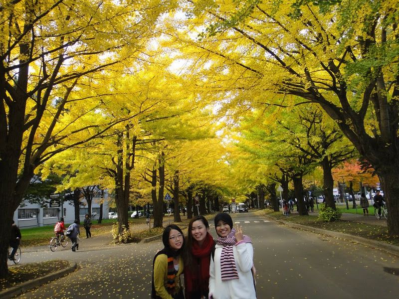 Sapporo According to PINKPheng: Autumn in Sapporo: Ginkgo Avenue