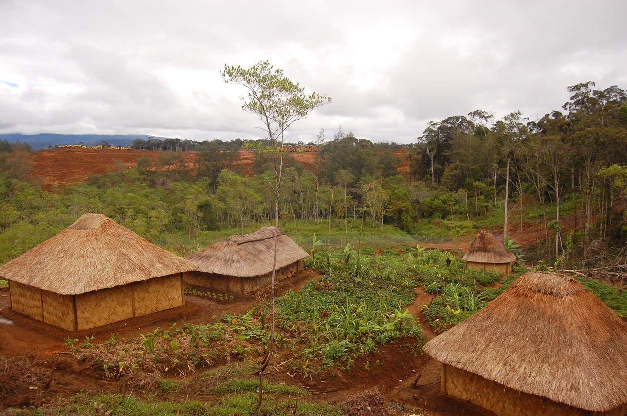 Agricultural resilience needed in PNG, says expert - Papua New Guinea Today