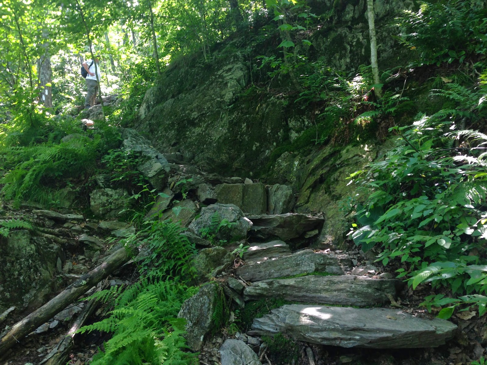 Fairfield County and Beyond on the Cheap: Bear Mountain - Tallest ...