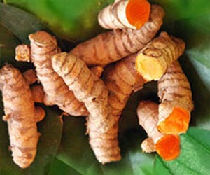 Kandungan, Manfaat dan Khasiat Kunyit / Kunir Bagi Kesehatan ...