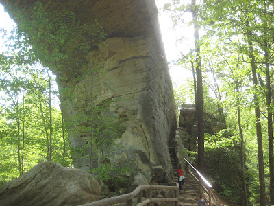 Wherever the Road Leads: Natural Bridge State Resort Park