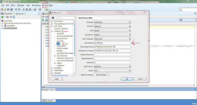 Oracle SQL Developer date format