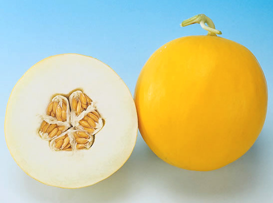 Benefits of Melon | Herbal Medicine and Nutrition