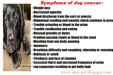 Symptoms of cancer in Dogs