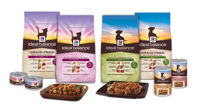 Zoo Internships: Ideal Balance