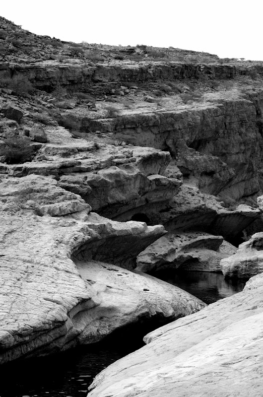 The Art of Photography. OCA.: Exercise 20. Curves as elements of design.