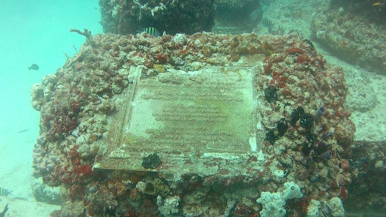 Largest Man Made Reef-Neptune Memorial Reef Underwater Cemetery