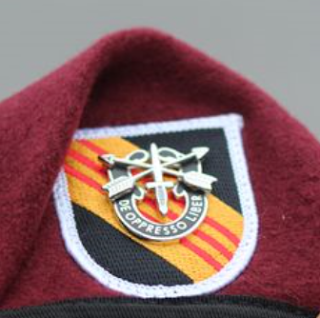 Special Forces Association Chapter IX: 5th Special Forces Group reverts ...