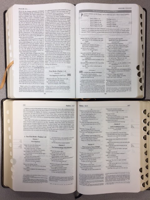 Catholic Bibles: Physical Comparison of The Catholic Study Bible 1990 ...