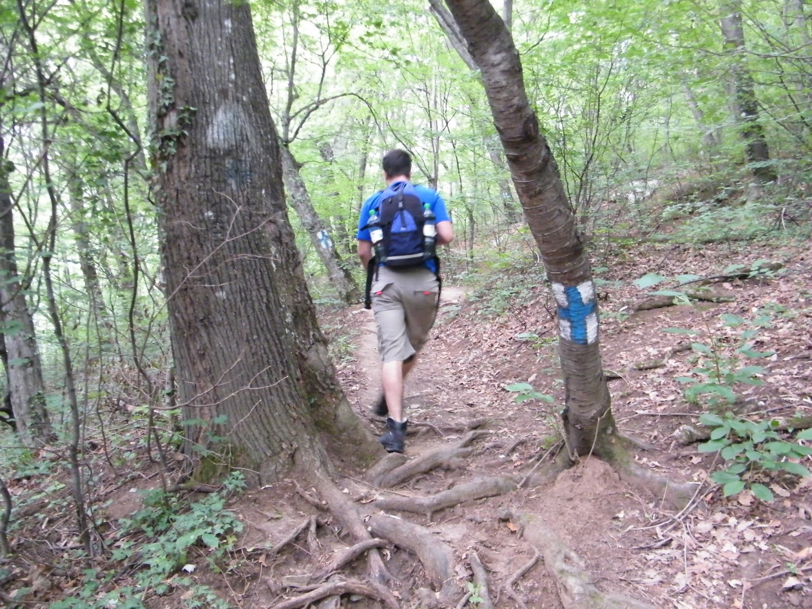 Bala Mihai Alexandru: Herculane - Crucea Alba