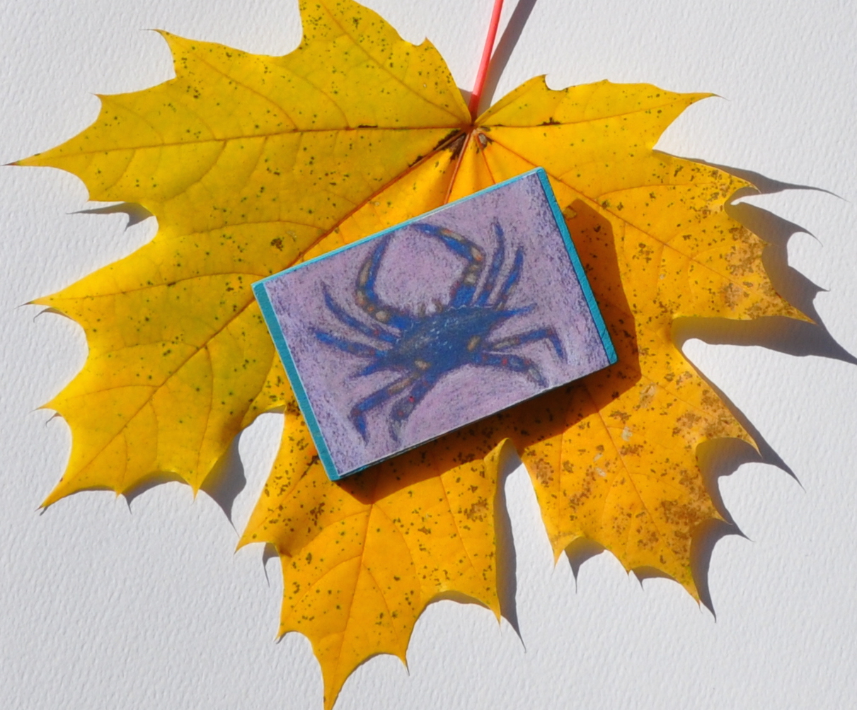 Vicki Smith Art: Make your own Art Pins