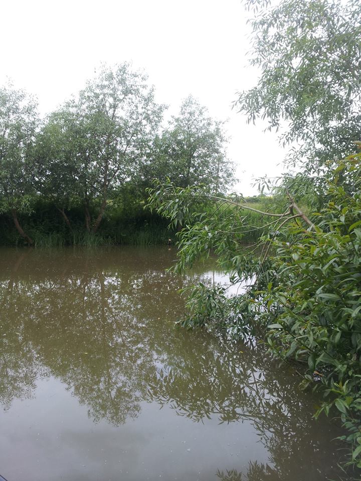 UK fishing venues: Highfield Fishery - Venue Review