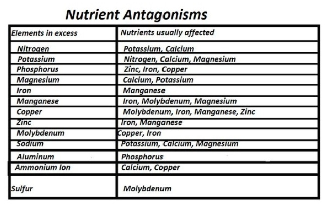Plant Nutrient Deficiency Leaf Illustrations and Charts Reference Guide ...
