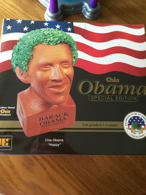Chi...Chi...Chi..Chia! Obama Chia Pet #review #giveaway - Mommy's Block ...