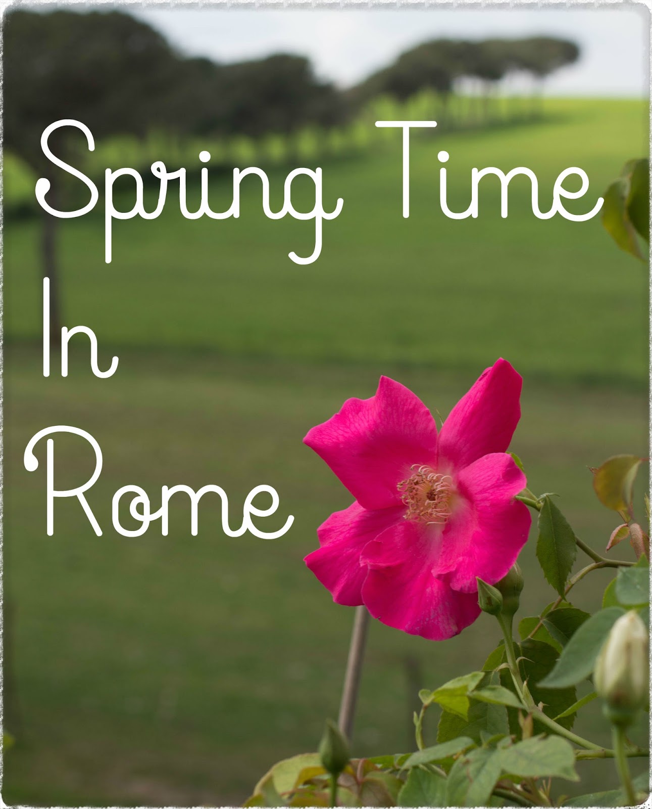 Gaby Around the World