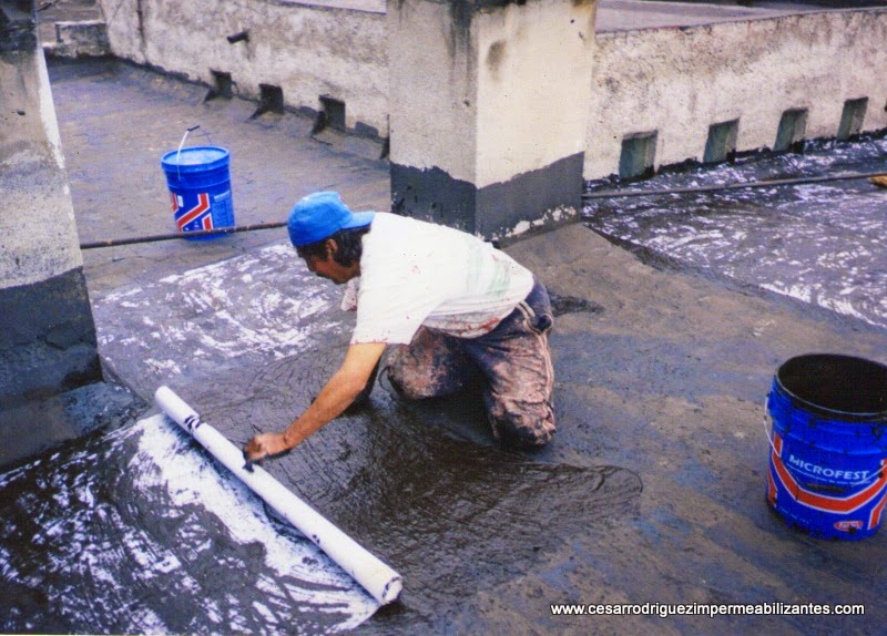 fester microlastic para coronas de cimentacion - impermeabilizaciones inmediatas