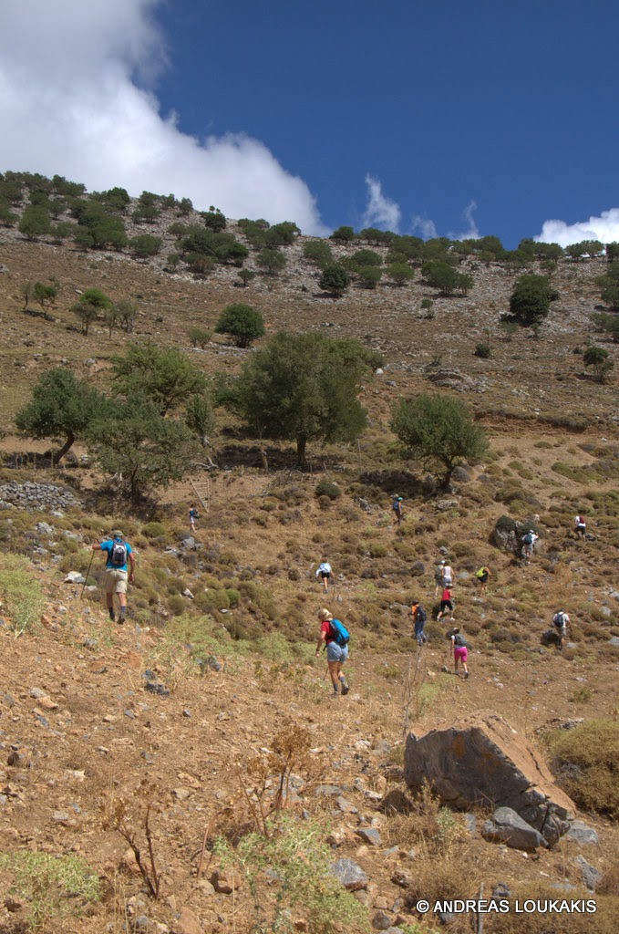 EXPLORE MOUNTAINS: ΠΕΖΟΠΟΡΙΑ ΨΥΧΡΟ-ΜΑΓΟΥΛΑΣ-ΔΙΚΤΑΙΟ ΑΝΤΡΟ