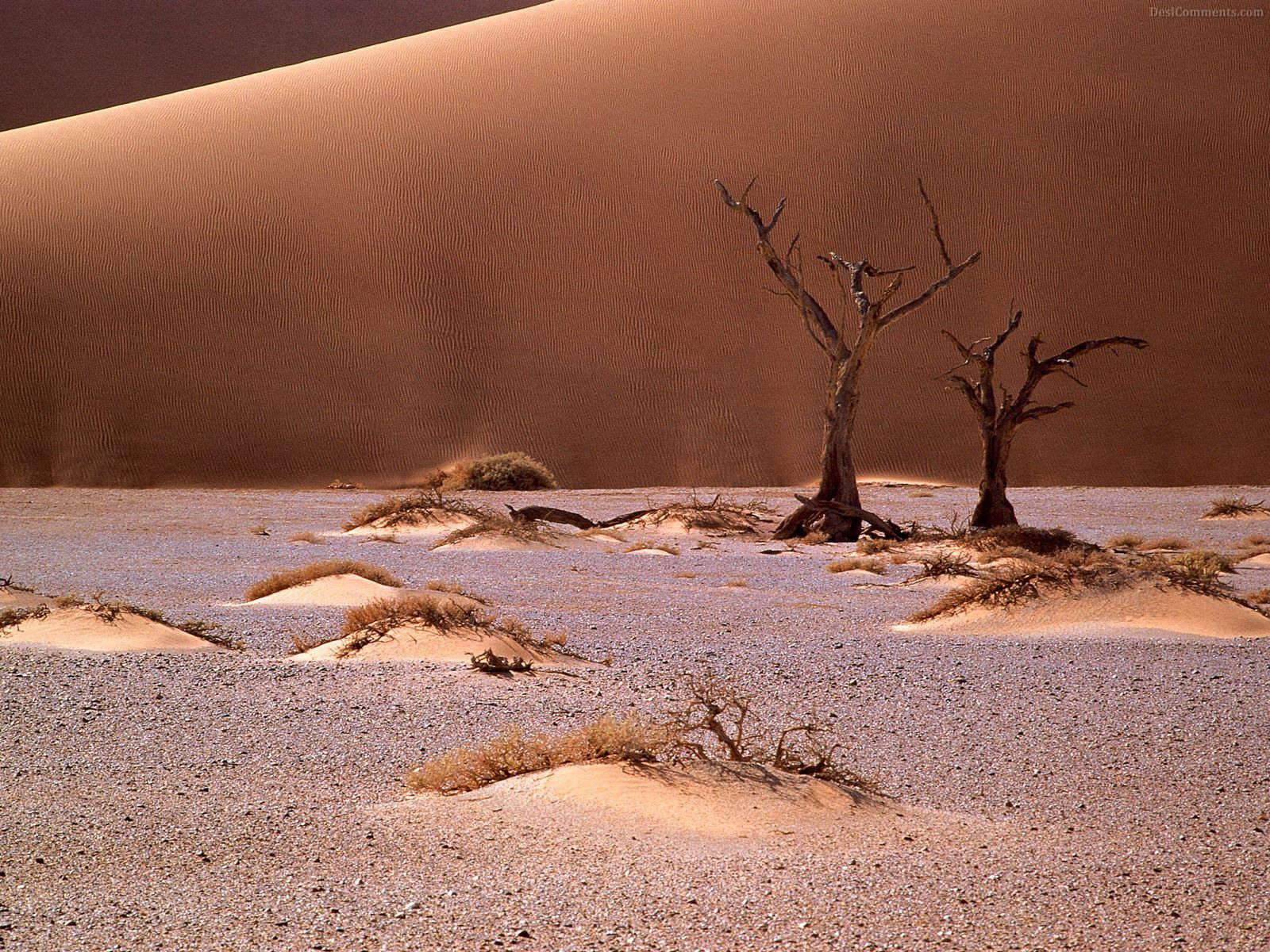 Part And Parcel Of Life: Desert and Deserted