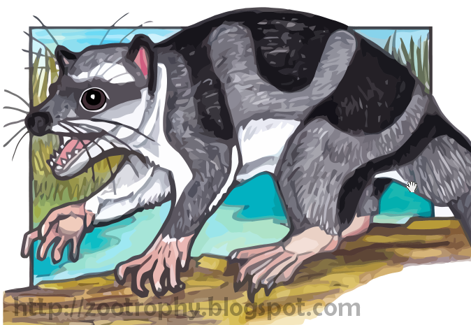 ZooTrophy Animal-a-Day Database: March 2016