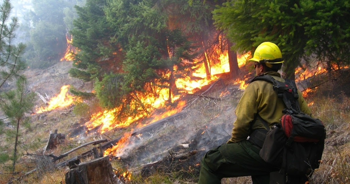 Blue Mountain Prescribed Fire Council