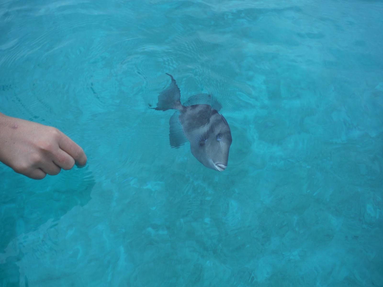 Any Way the Wind Blows: Photos