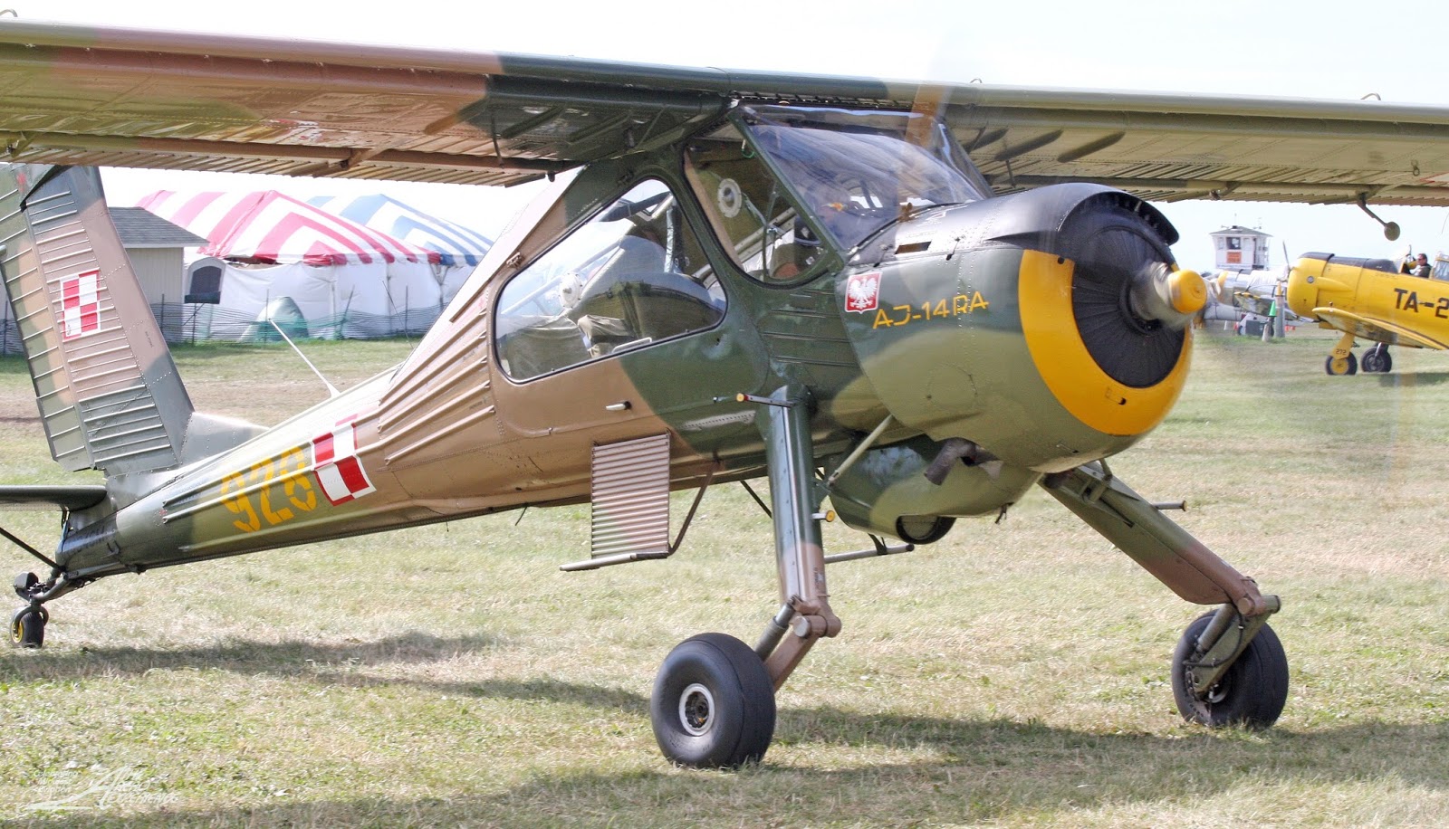 The Aero Experience: EAA AirVenture Oshkosh 2016: Liaison and Utility ...