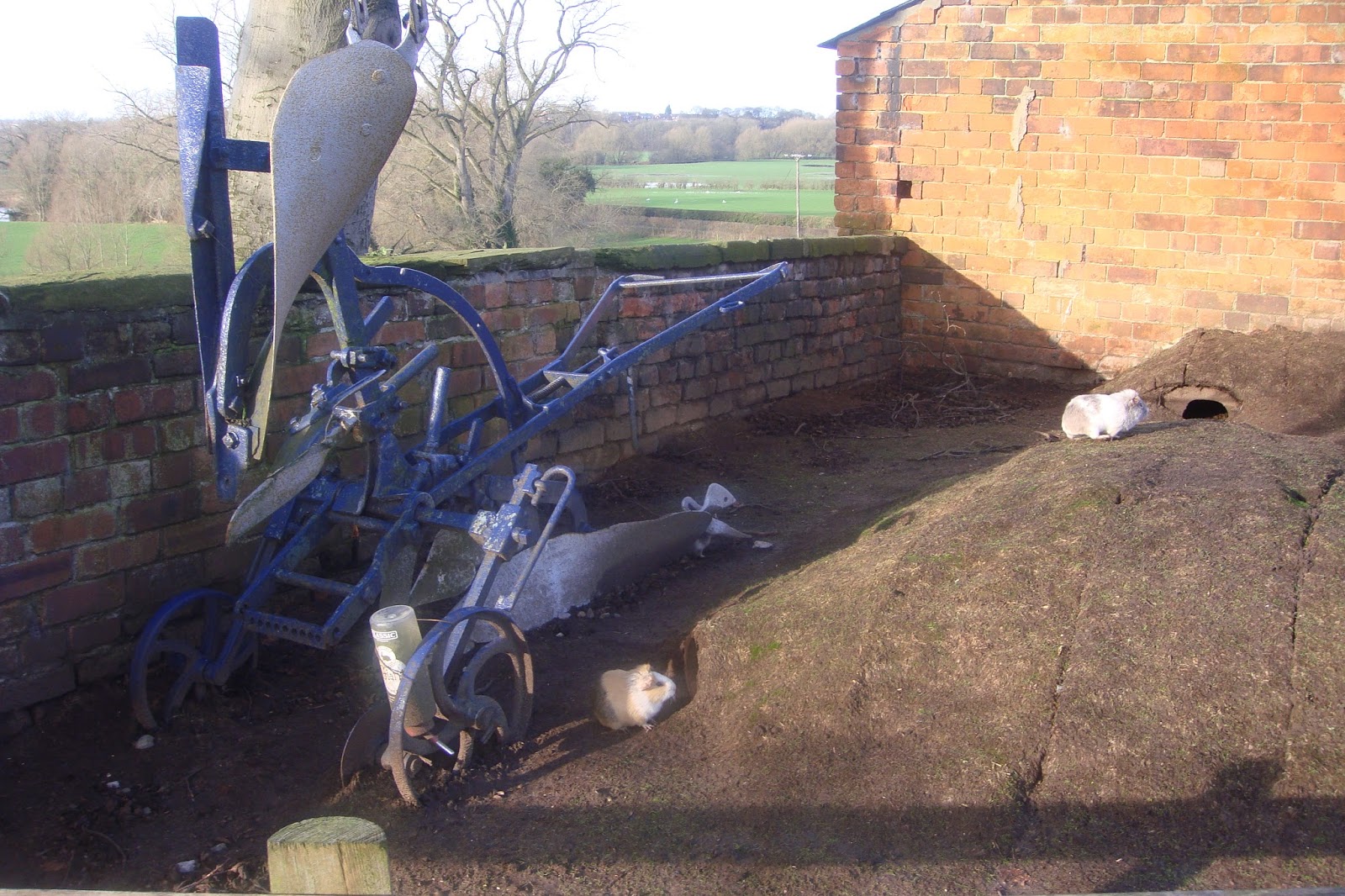 101 uses for a ..................: 101 Uses for a Plough