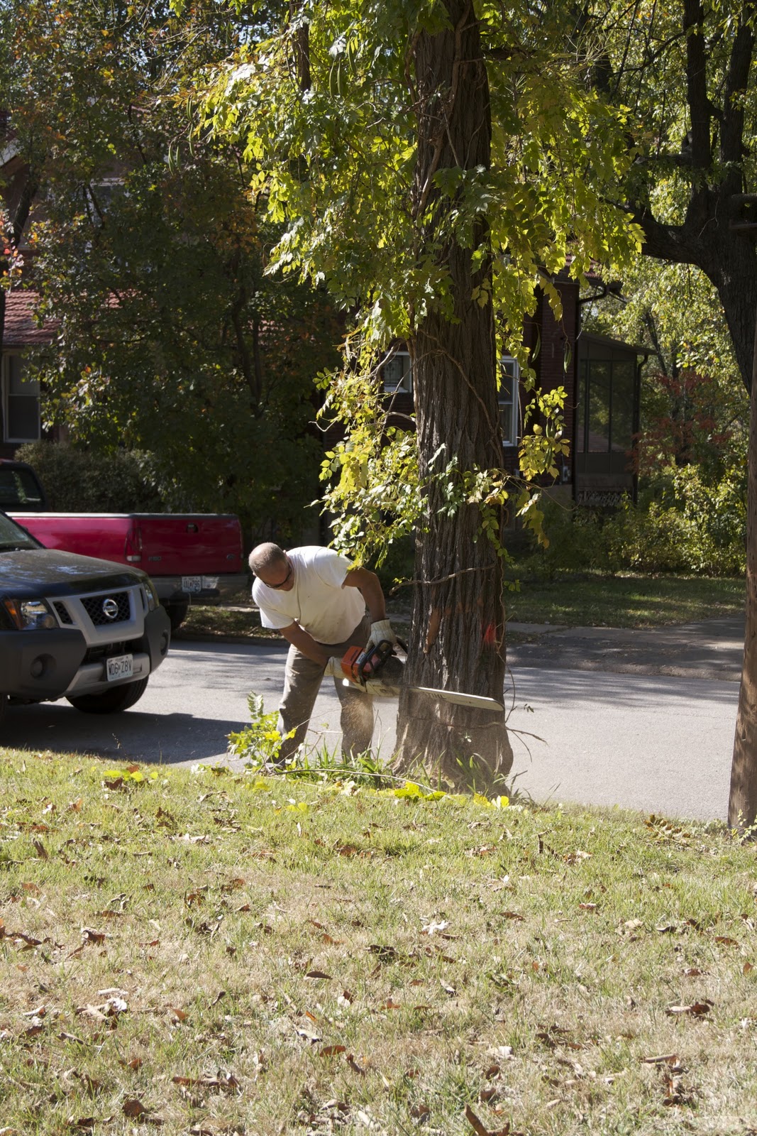Stump B Gone Tree Service