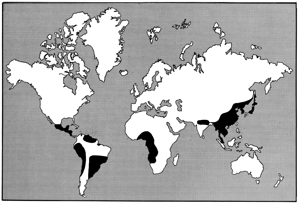 Infection Landscapes: Lung Flukes: Paragonimiasis