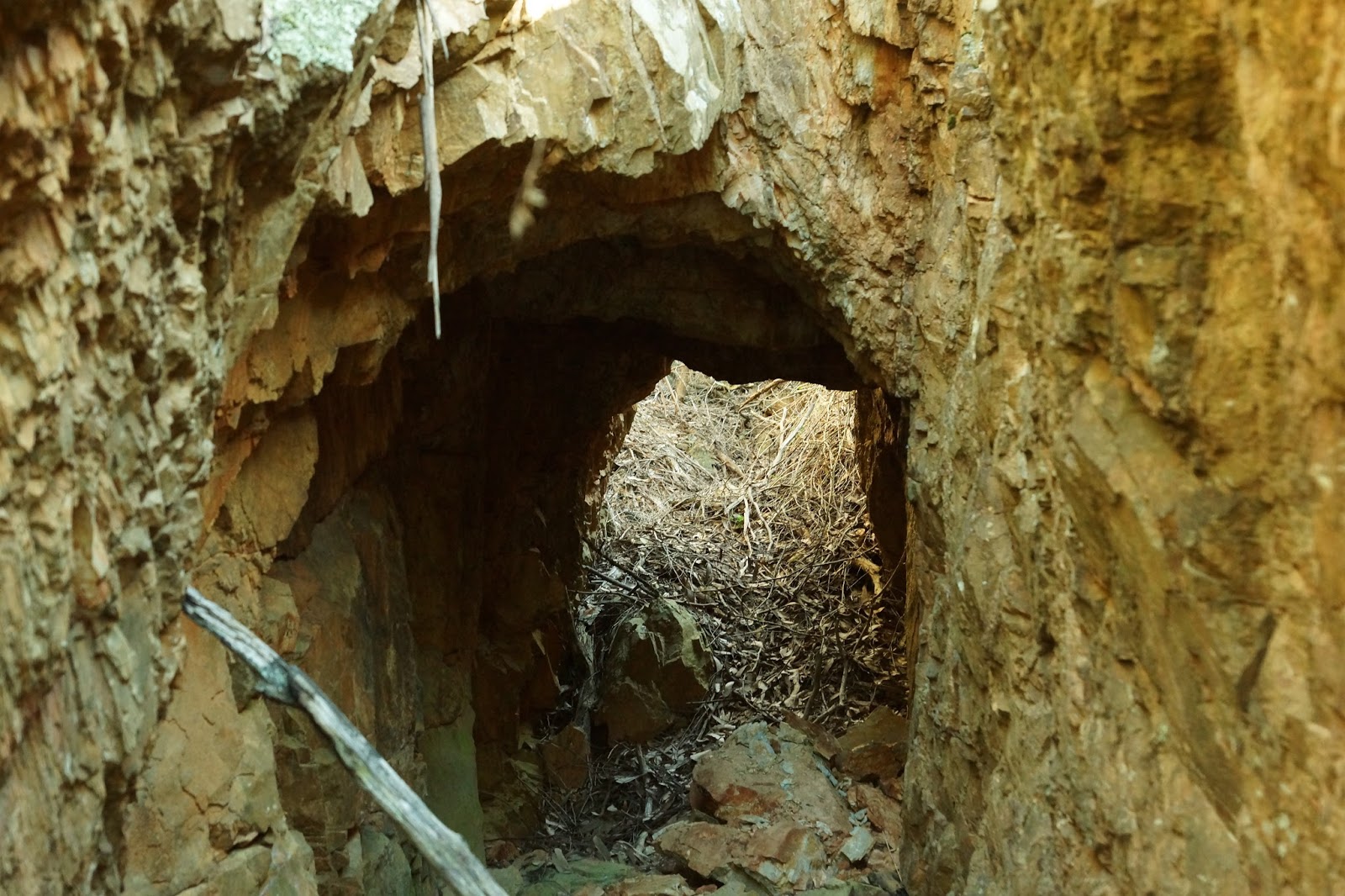 East-Gippsland Birds: The Haunted Stream (Stirling)