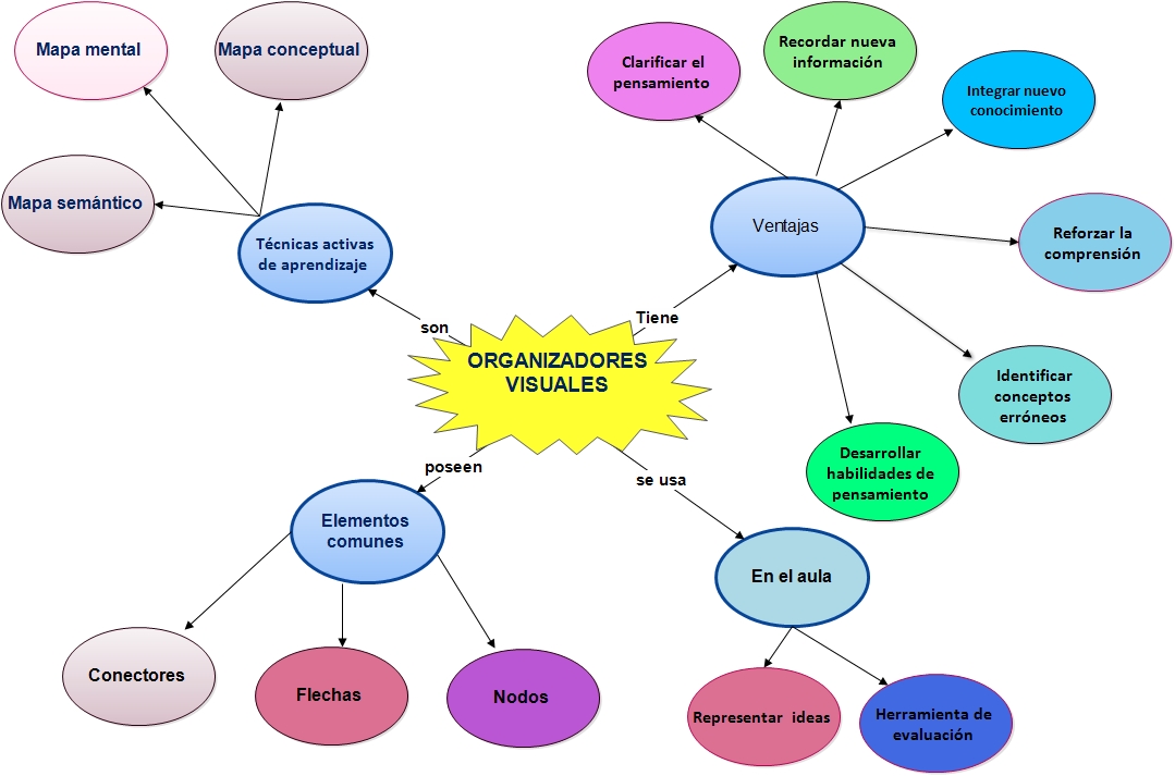 ORGANIZADORES VISUALES: ORGANIZADOR VISUAL