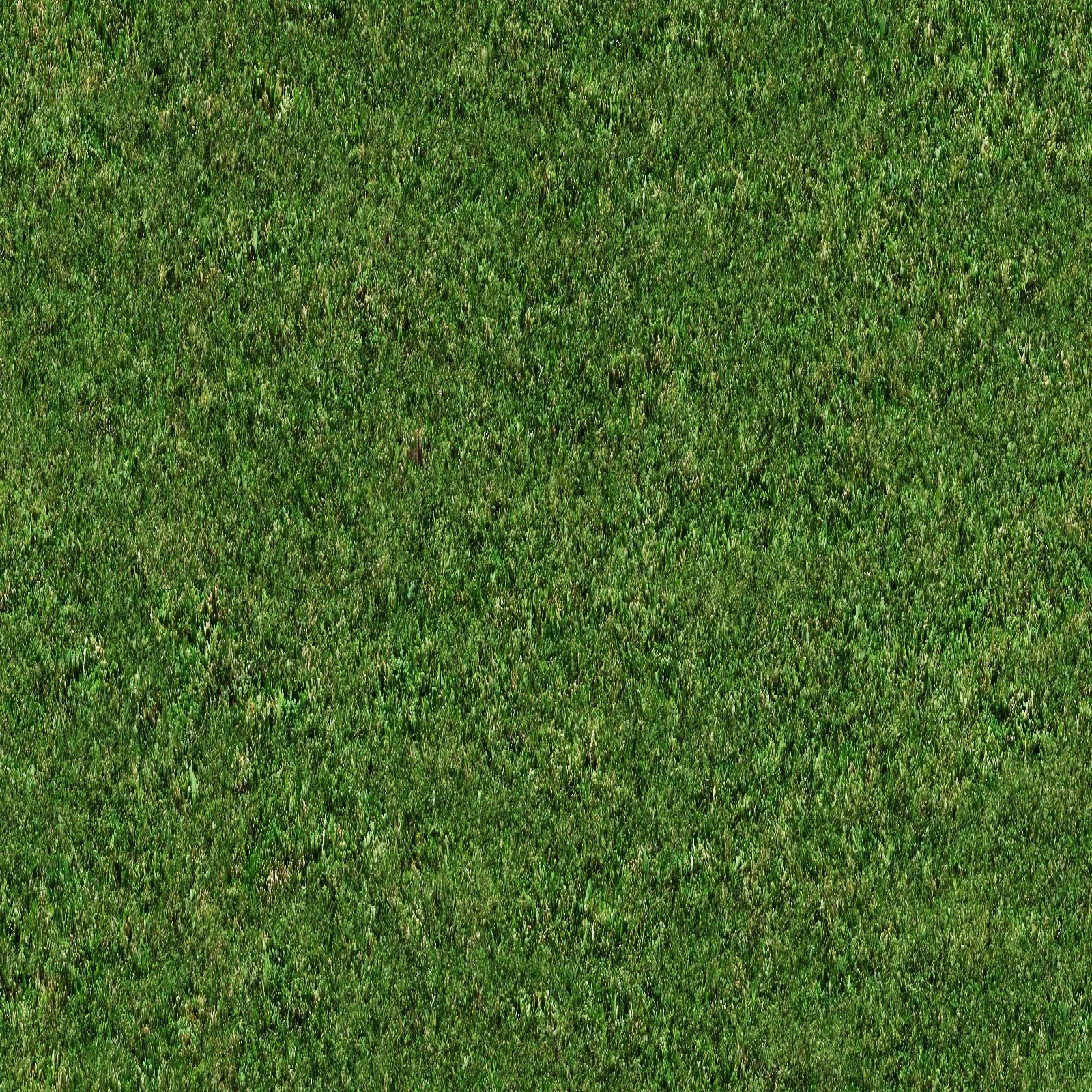 Free Seamless Textures for Computer Graphics