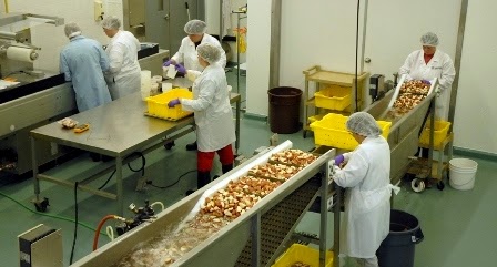 Teknologi Makanan Kumpulan 15: Jenis-jenis Cara Pemprosesan Makanan