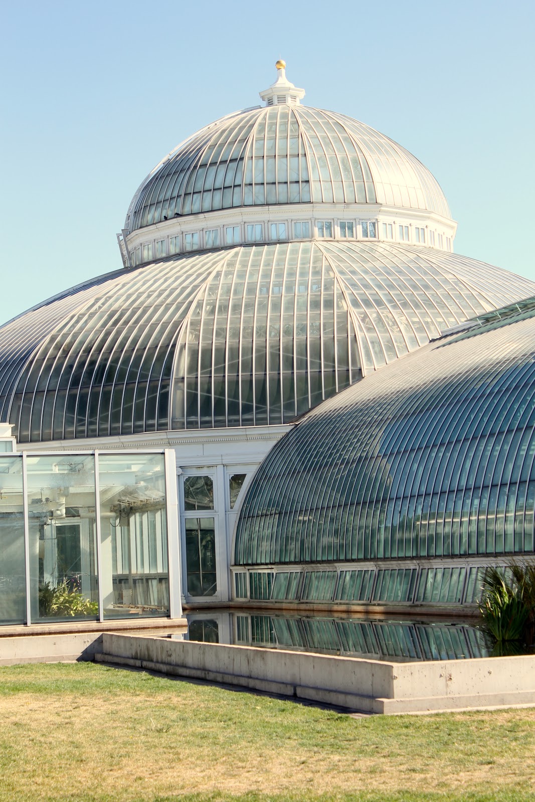 Arrows Sent Forth: Como Park Zoo