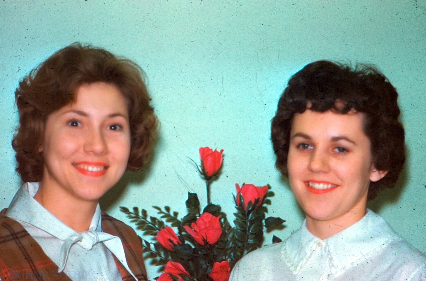 The Slide Guy: A Rose Between Two Thorns