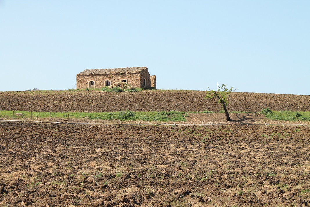 Ramacca (CT) Archives - Living in Sicily