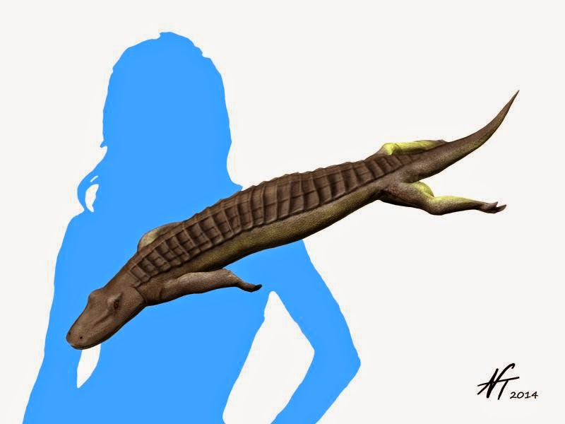 Paleoexhibit: Meet the Chroniosuchians