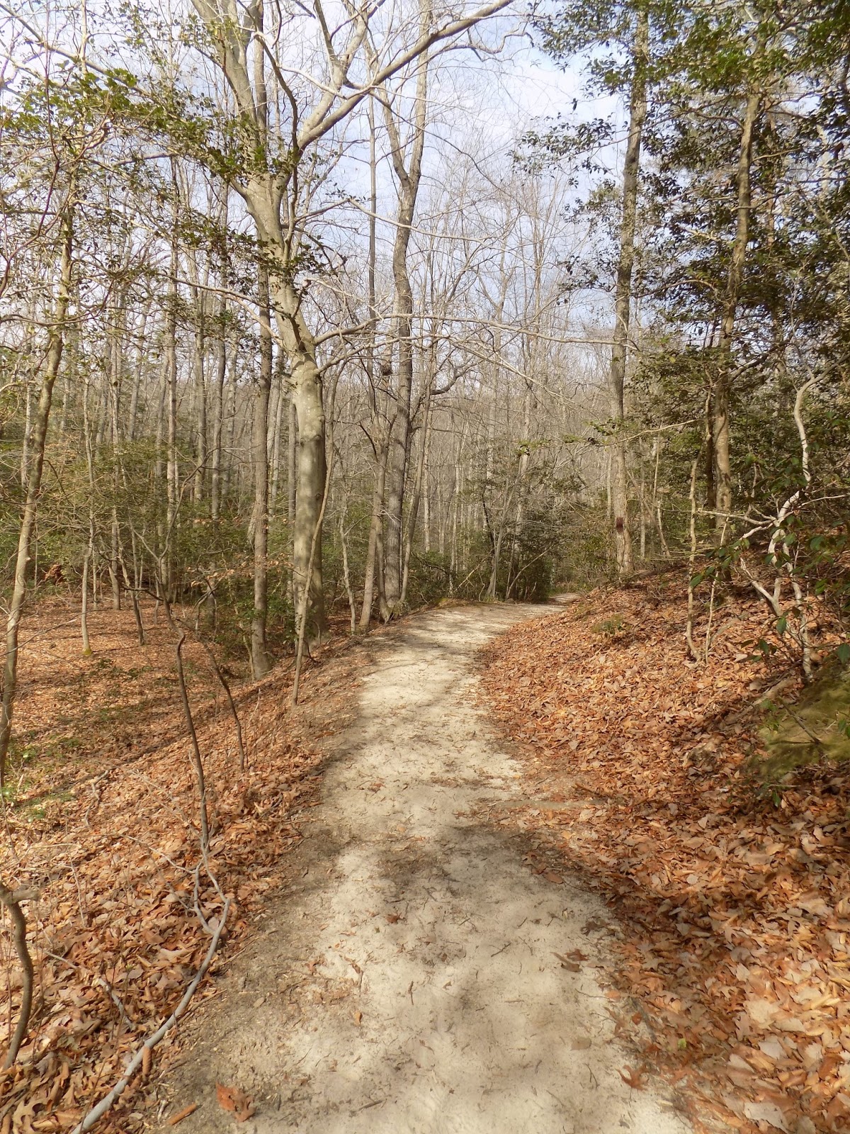 Tales From the Trails: Calvert Cliffs: Chesapeake Bay