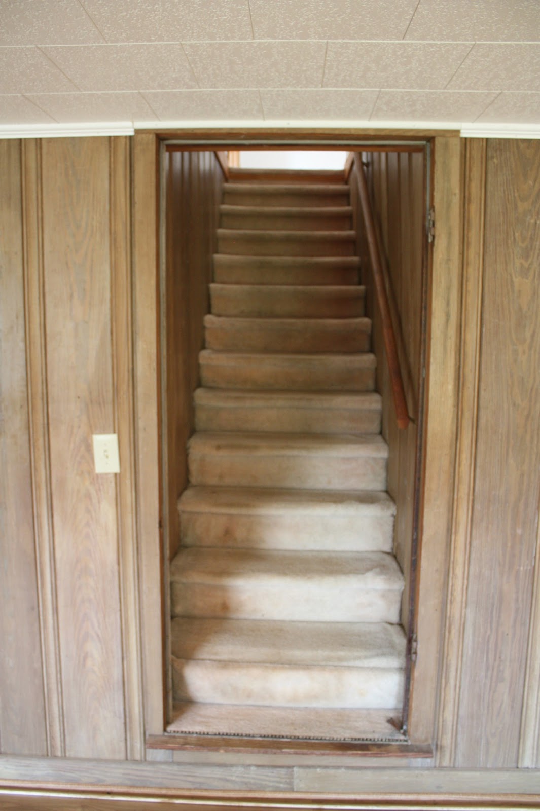 Carolina Country Living