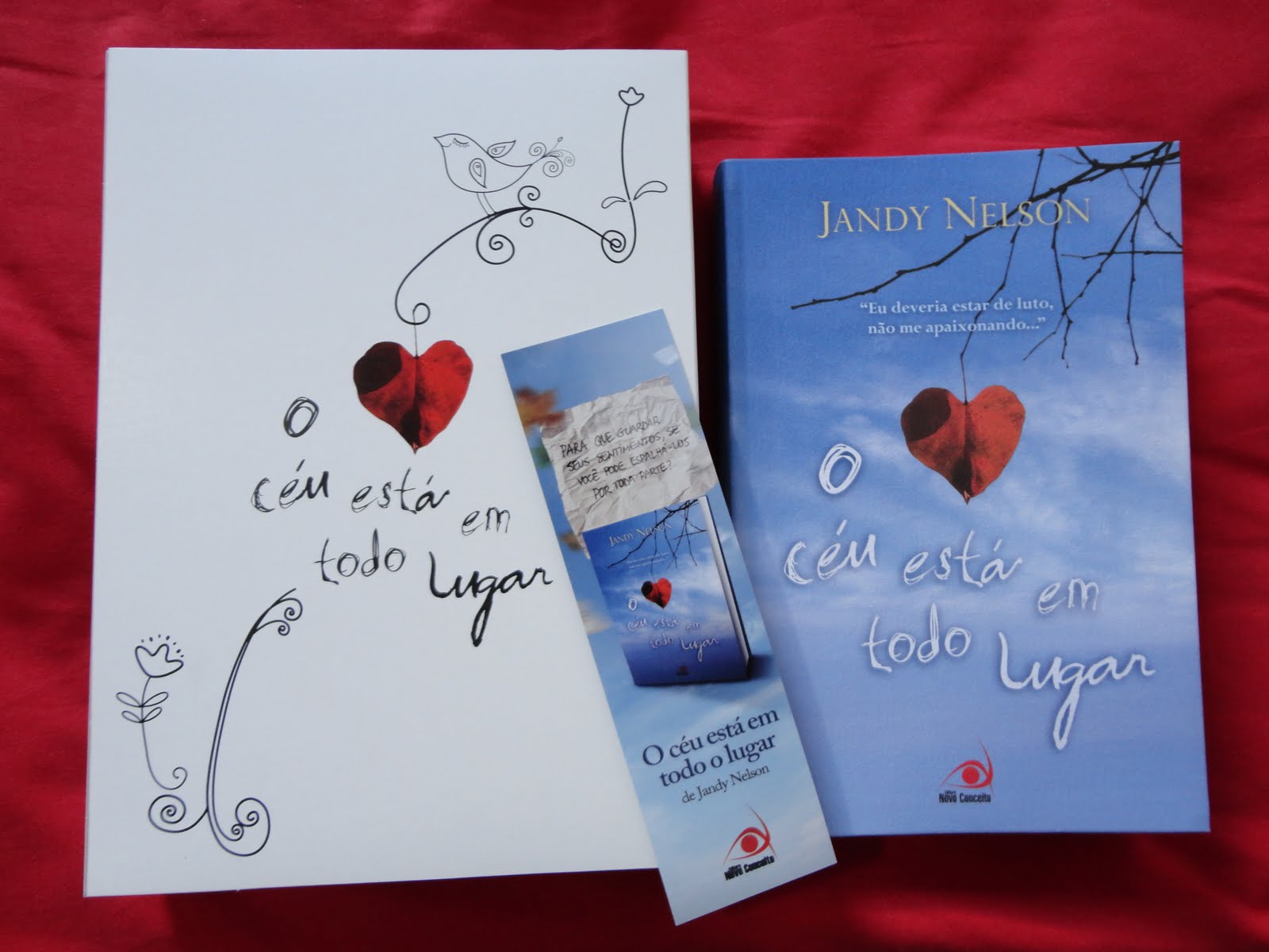 Letras Insanas: Resenha Insana: O céu está em todo lugar - Jandy Nelson