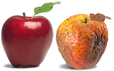 I Had a Good Teacher