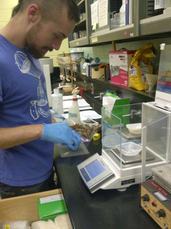 University of Illinois Plant Clinic: Bacterial Leaf Scorch Testing at ...