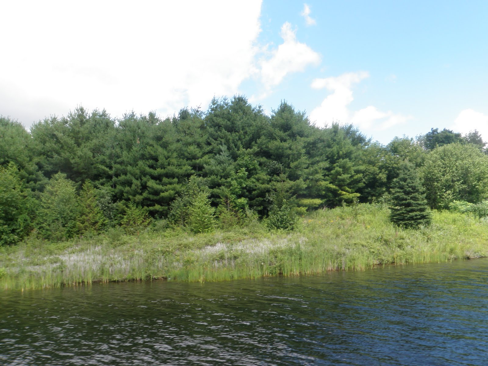 Inconceivable: Fenelon Falls to Trent Talbot Marina