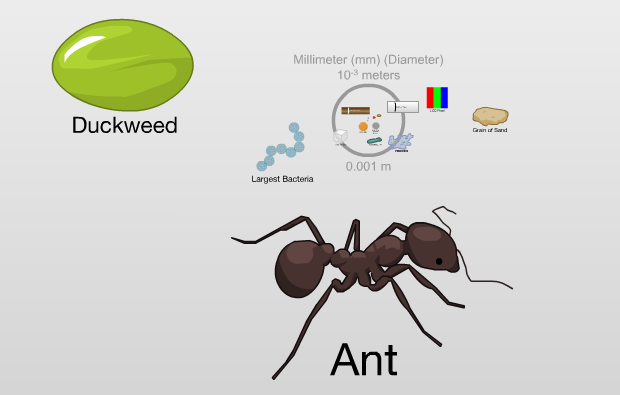 Buddy the Photo Dog Blog: What is at the center of your Universe?