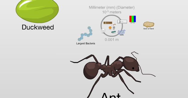 Buddy the Photo Dog Blog: What is at the center of your Universe?