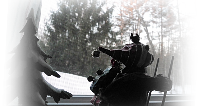 A Haven for Vee: Grace Livingston Hill