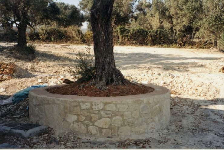 ΚΡΗΤΙΚΑ ΦΥΣΙΚΑ ΠΕΤΡΩΜΑΤΑ: ΚΤΗΜΑ ΑΔΕΛΕ